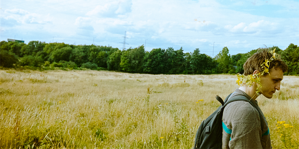 Filmer på Sundsvall Bio Drakstaden | Bird | Bio.se